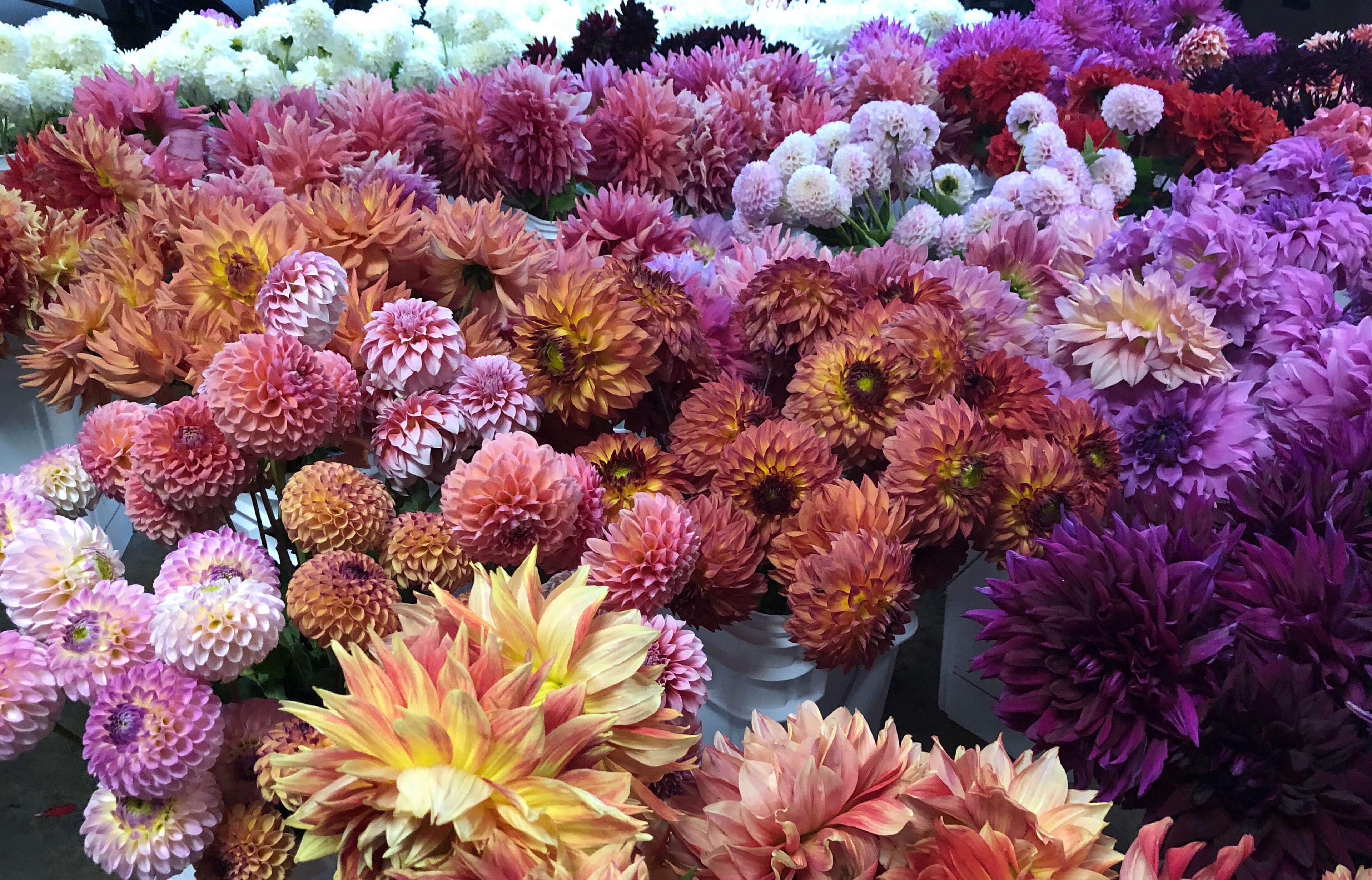 NYC Flower Subscription CSA with Delivery/Pickup (Select Locations ...