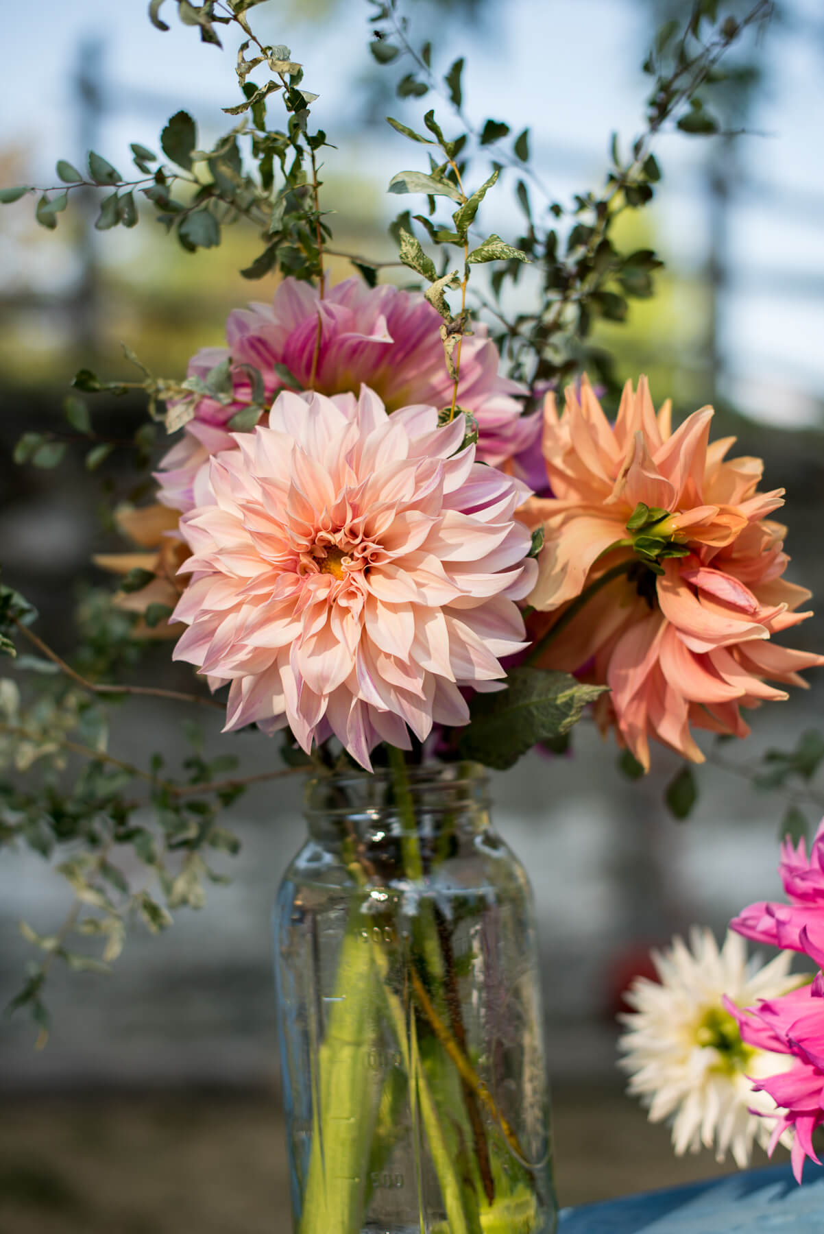 NYC Flower Subscription CSA with Delivery/Pickup (Select Locations ...