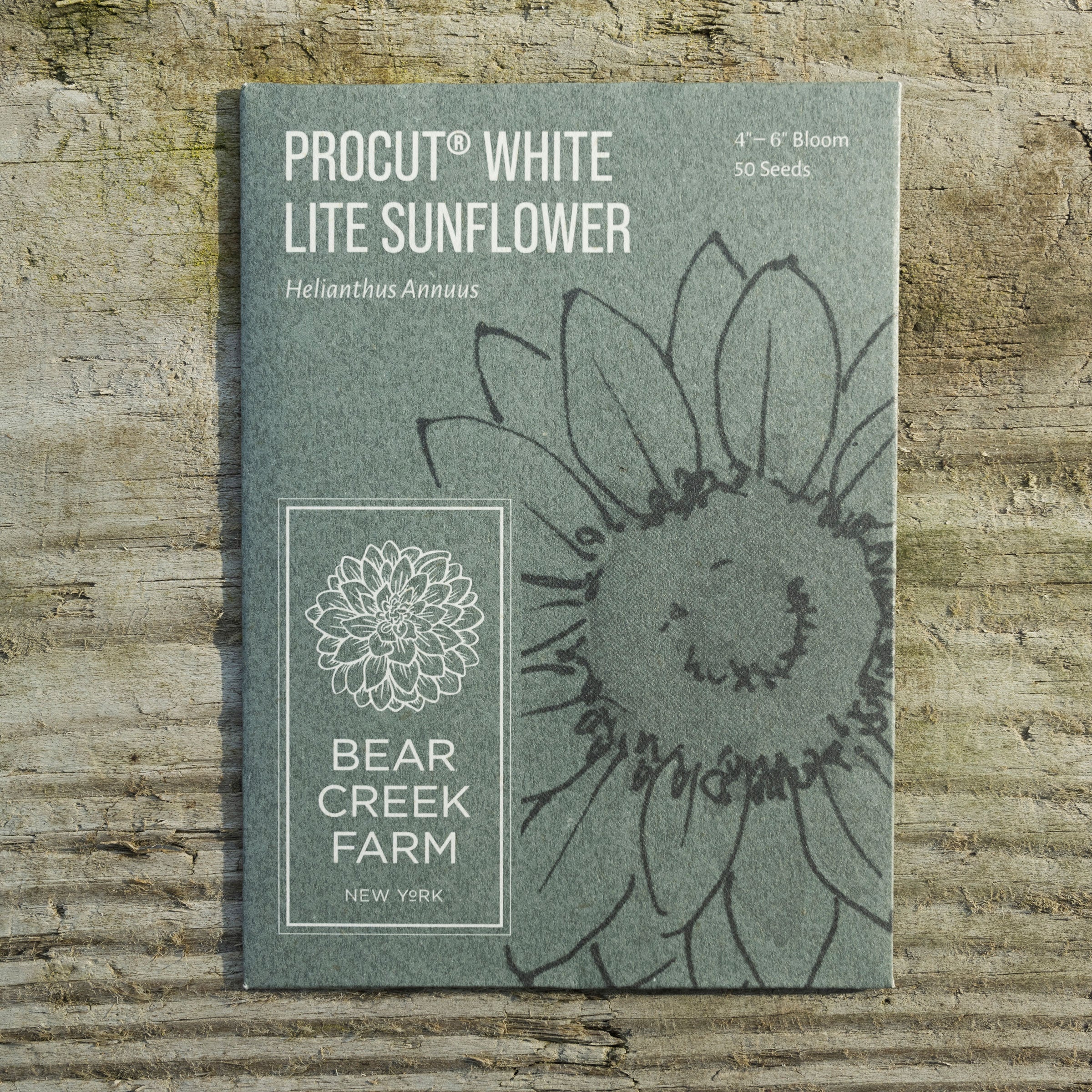 ProCut® White Lite Sunflower – Bear Creek Farm