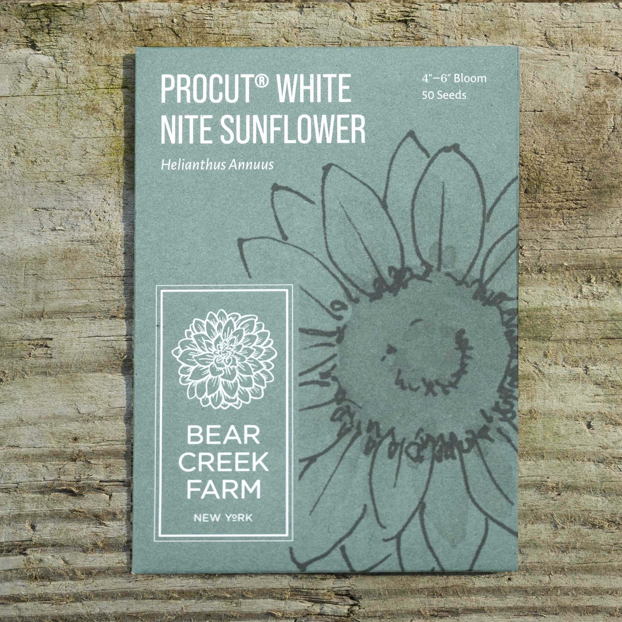 ProCut® White Nite Sunflower – Bear Creek Farm